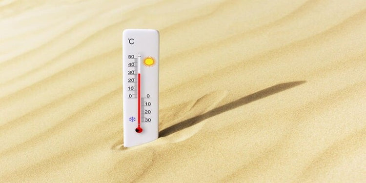 What is a Comfortable Room Temperature? – Sensibo